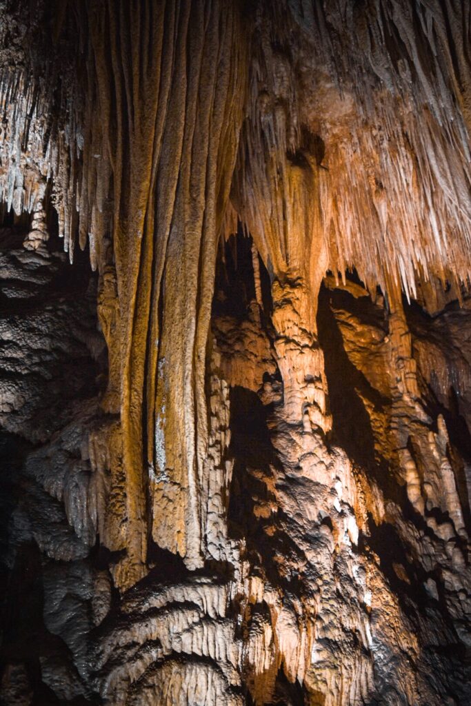 Best Cave Experiences in Tasmania; Things to do in Australia ...